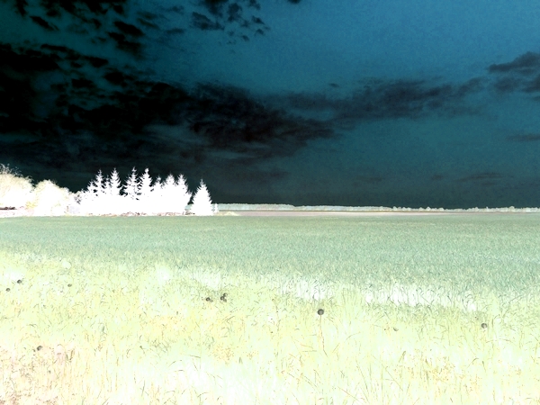 Three Different Types of Open Space – pictures imperfect blog