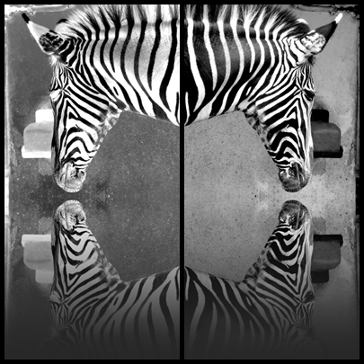 Twice Inverted – pictures imperfect blog