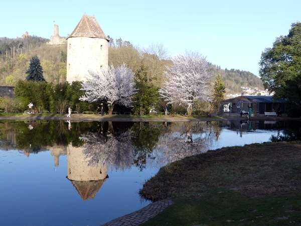 The Strongest Links – pictures imperfect blog