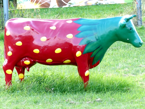 Utter Confusion – pictures imperfect blog